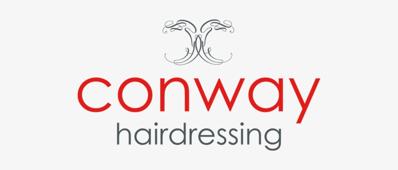 Brand New Website - Solid Energy Systems Logo Transparent PNG - 500x271 ...