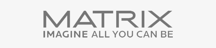 Matrix-logo - L Oréal Matrix Transparent PNG - 500x500 - Free Download ...