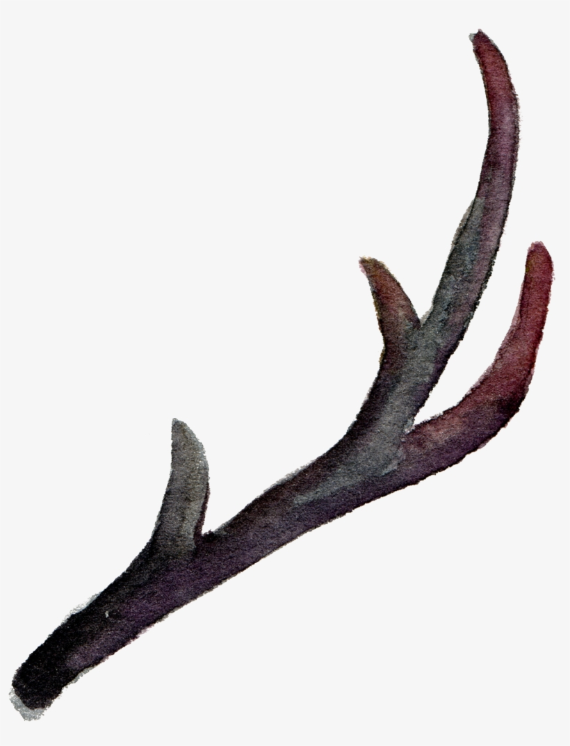 Clip Download Antler Horn Painting Leaves Falling Element - Reindeer ...