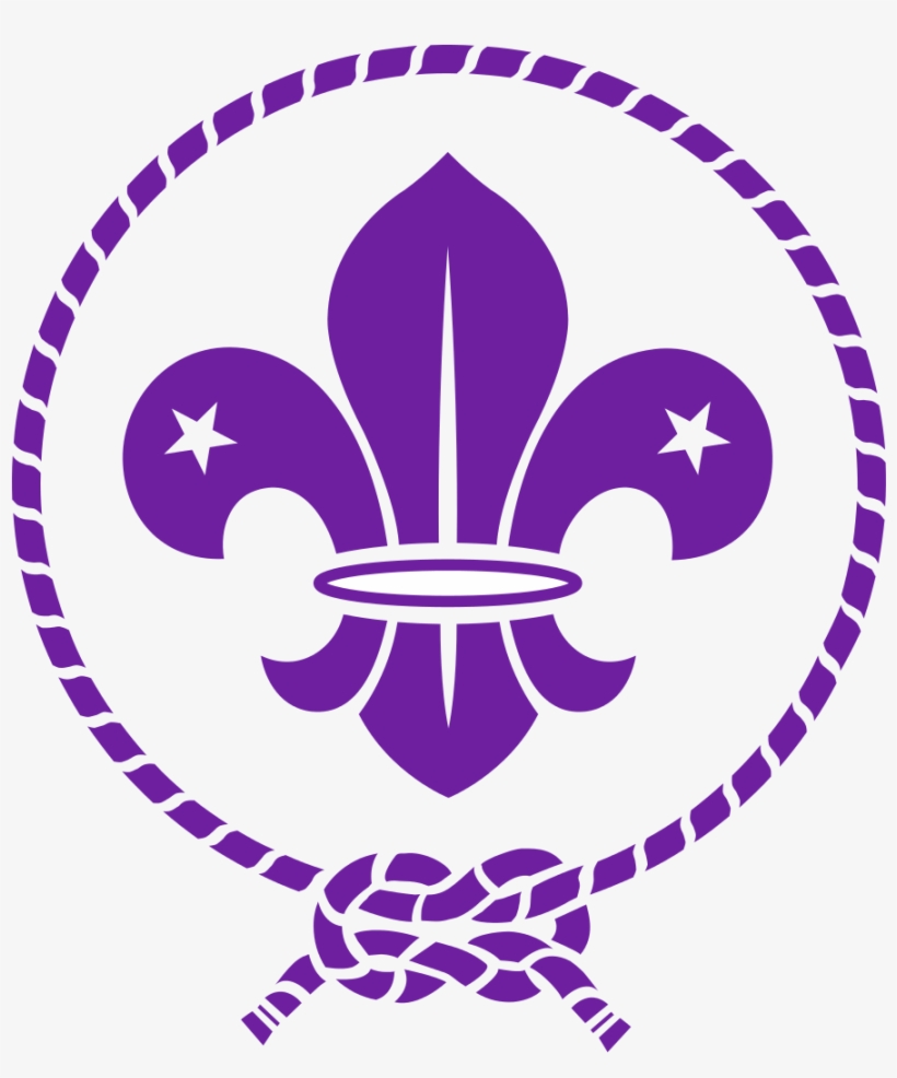 Scout Logo Transparent PNG - 1200x1374 - Free Download on NicePNG