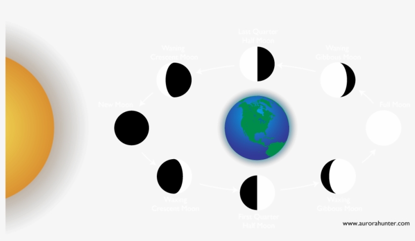 Download Moon Phases - Phases Of The Moon Png - HD Transparent PNG ...