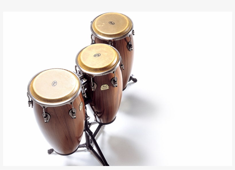 Download Conga - HD Transparent PNG - NicePNG.com