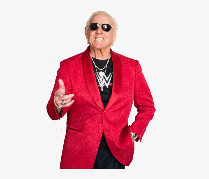 The Ric Flair Collection - Suit Transparent PNG - 480x635 - Free ...
