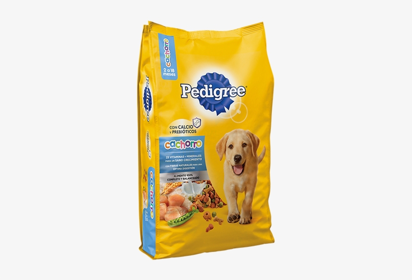 Cachorro - Comida Para Perros Pedigree Transparent PNG - 285x490 - Free Download on NicePNG