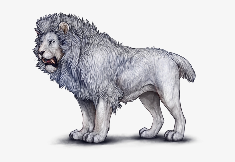 Inul66v - Lioden Lineart Transparent PNG - 638x500 - Free Download on ...