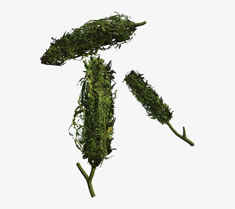 Cannabis Transparent PNG - 539x652 - Free Download on NicePNG