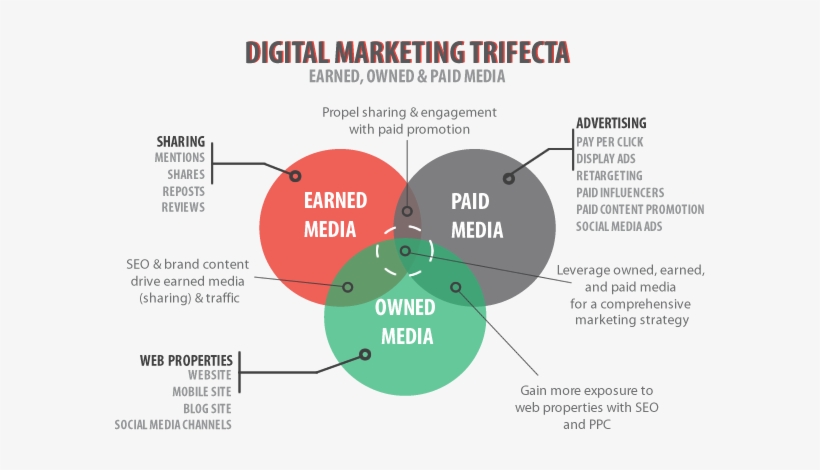 Paid Media Owned Media Earned Media Transparent PNG - 592x448 - Free ...