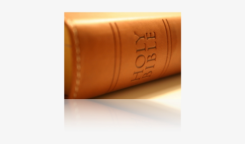 Holy-bible - Holy Bible Transparent PNG - 391x412 - Free Download on ...