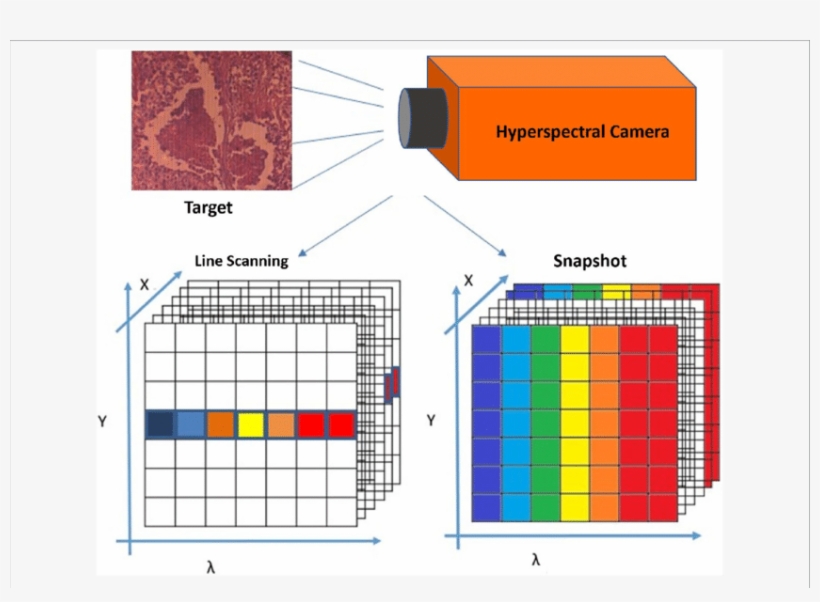 Black And White The Spectral Data In - Diagram Transparent PNG ...