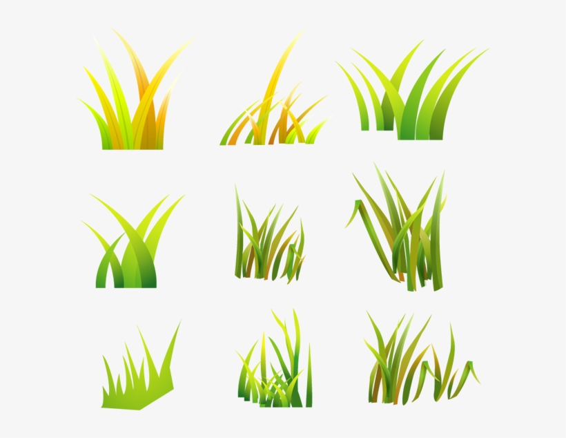 Desert Grass Vector Transparent PNG - 600x554 - Free Download on NicePNG