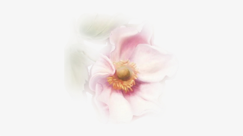 - La Passion Des Tubes Psp Psp, Mists, Tube, Giant - .net Transparent ...