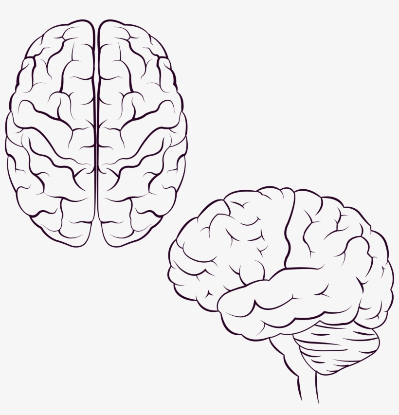 Brain Icon Design Icon - Brain Transparent PNG - 2219x2201 - Free ...