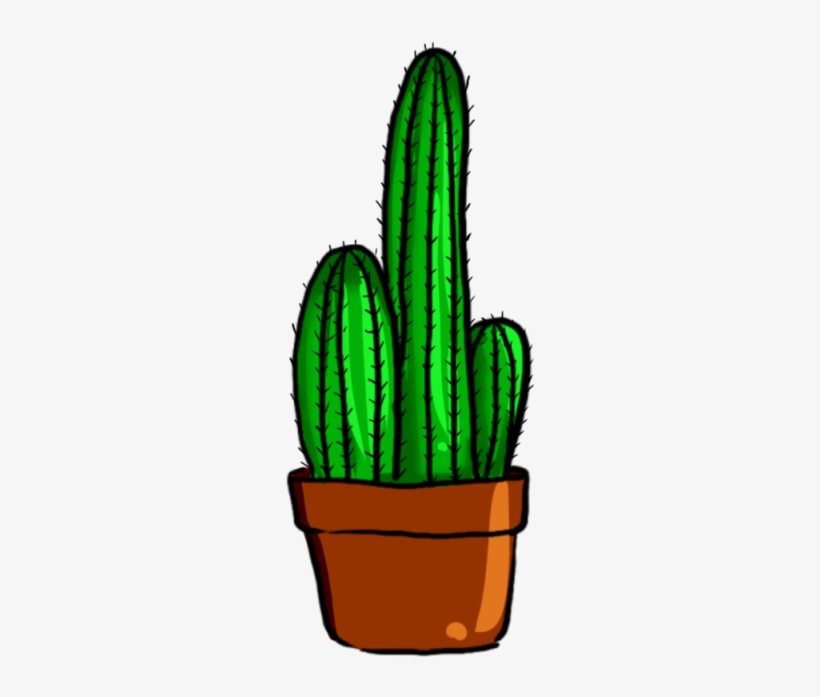 Cactus Vector Plant - กระบองเพชร Png Transparent PNG - 640x640 - Free ...
