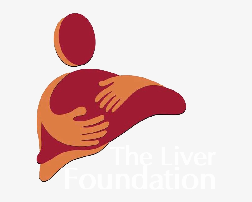 Liver Transparent PNG - 849x639 - Free Download on NicePNG