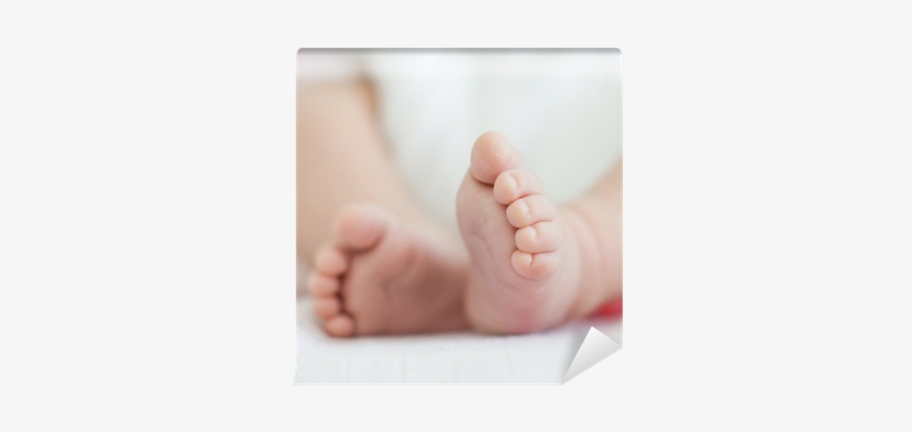 Toe Transparent PNG - 400x400 - Free Download on NicePNG