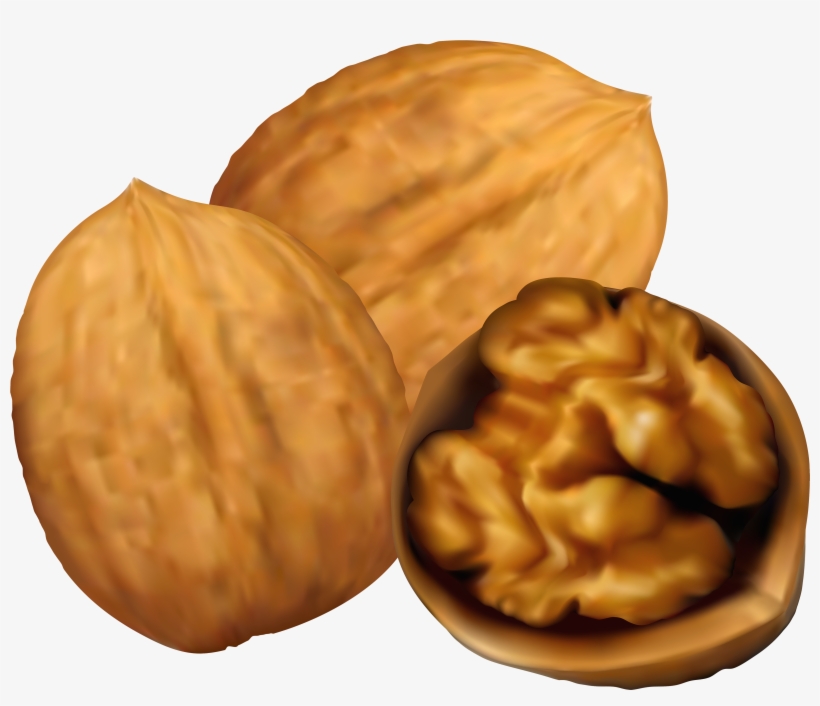 Cliparts No Nuts - Walnut Clipart Transparent PNG - 4000x3251 - Free ...