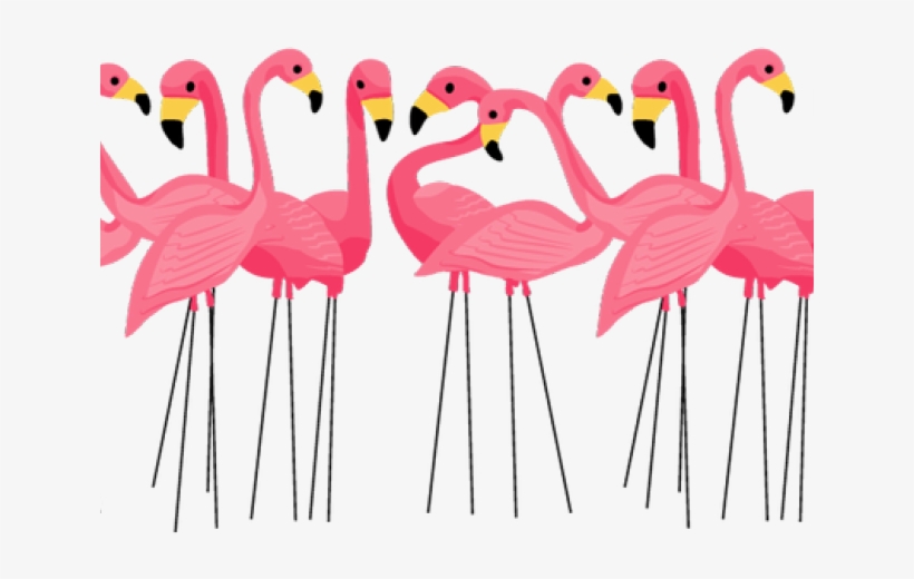 Flamingo Clipart Clear Background - Transparent Background Flamingo ...