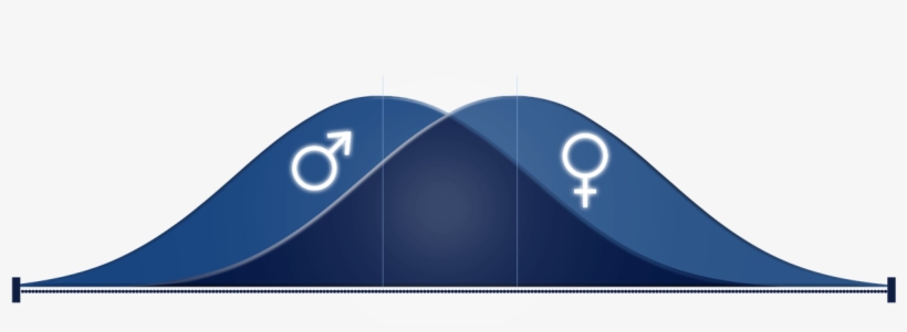 My Mission Is To Increase Gender Diversity At The Top - Two Overlapping ...