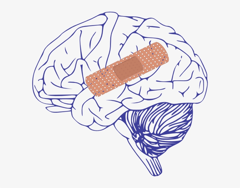 Band Aid On Brain Transparent PNG - 600x564 - Free Download on NicePNG
