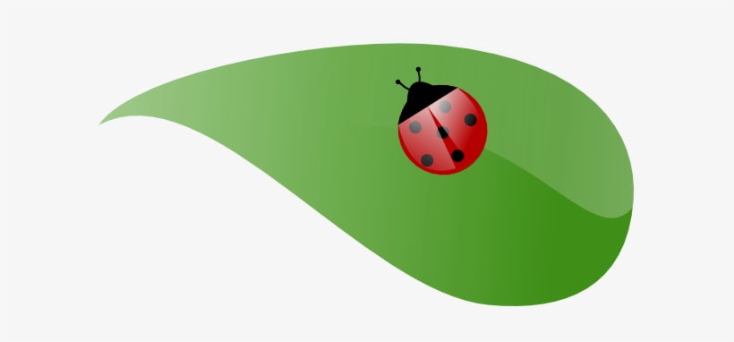 Ladybug Clipart Leaf Clip Art - Ladybug On Leaf Clipart Transparent PNG ...