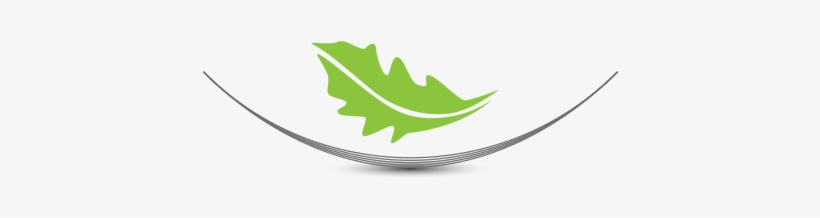 Radicle Farm Logo - Emblem Transparent PNG - 625x375 - Free Download on ...