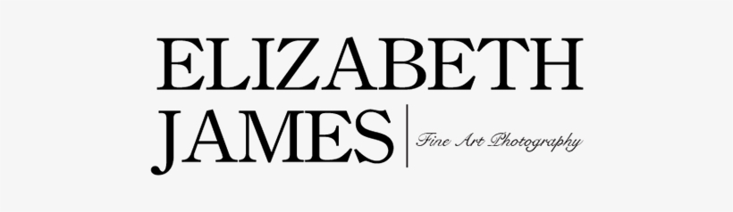 Élisabeth Logo Transparent PNG - 600x275 - Free Download on NicePNG