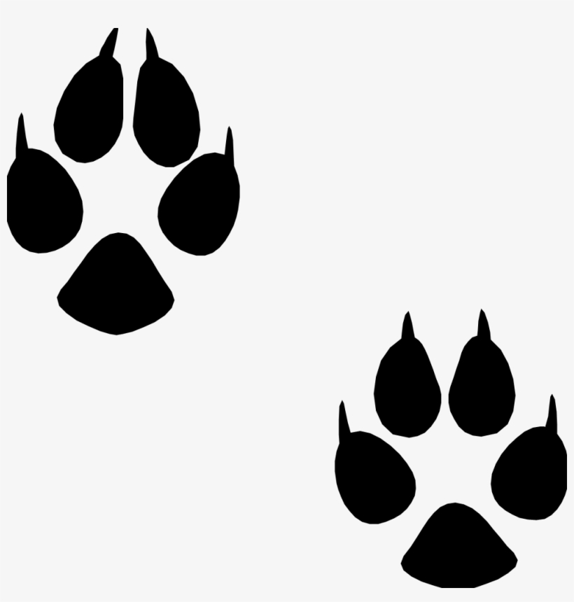 Dog Footprint Png