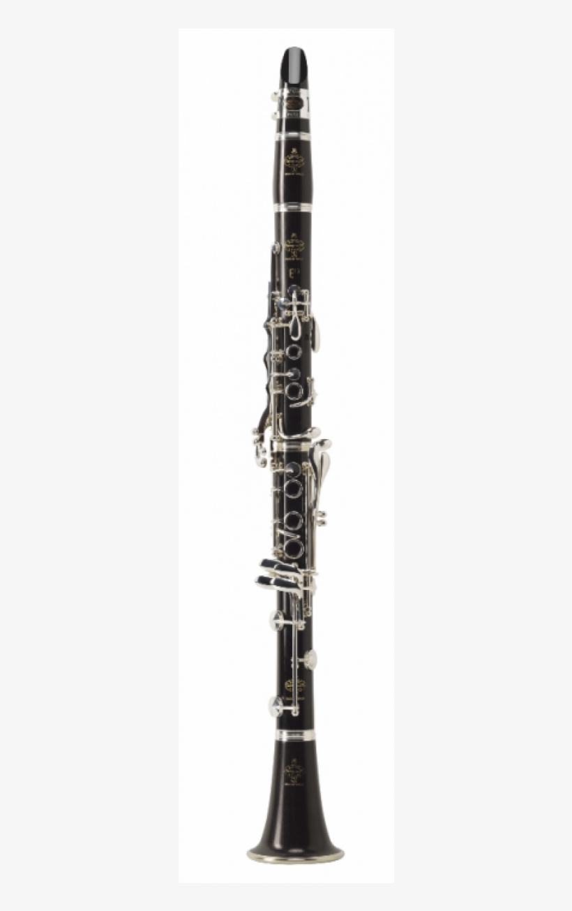 Clarinet Png Transparent PNG - 400x400 - Free Download on NicePNG