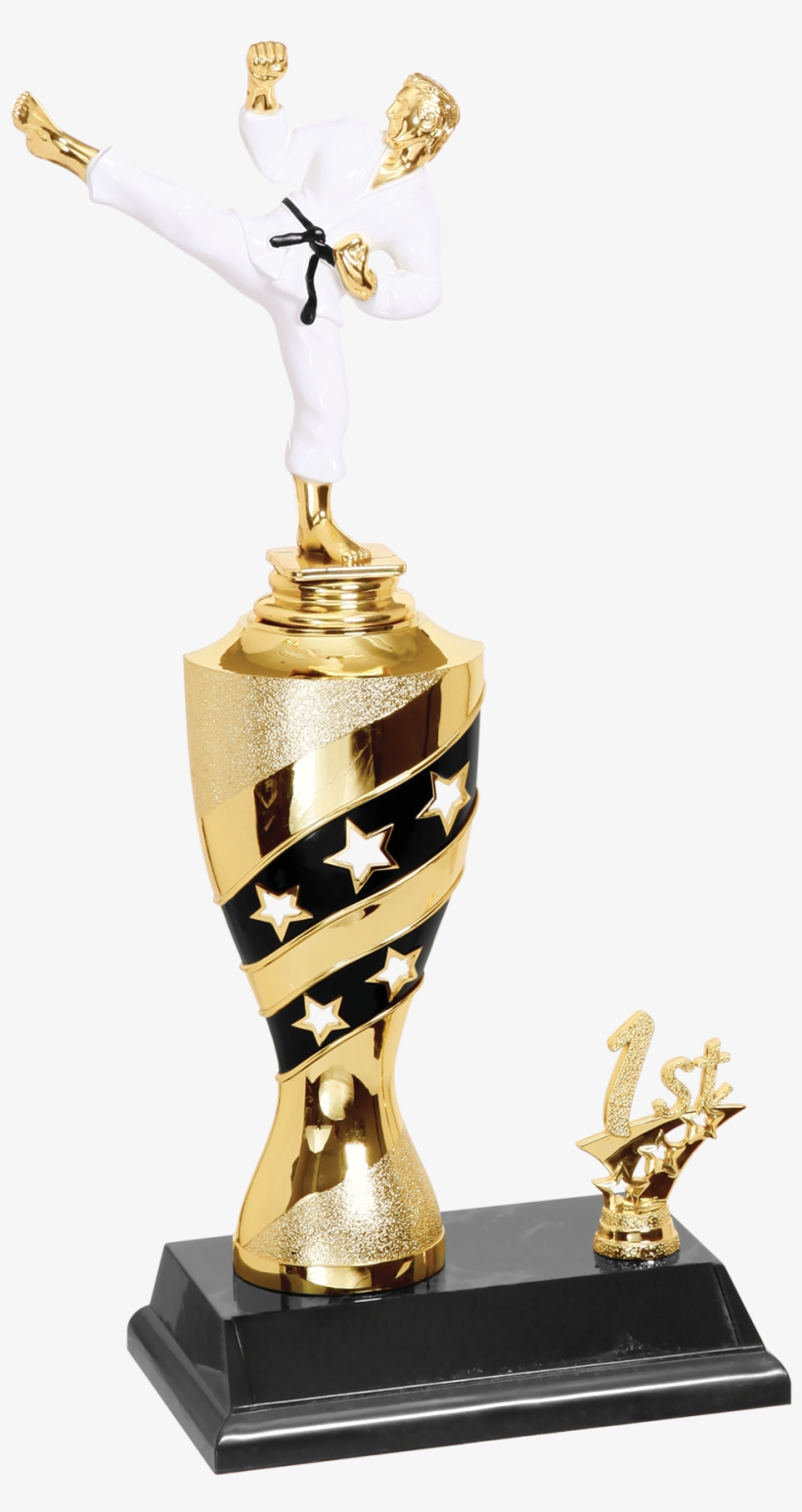 Black & Gold Martial Arts Trophy - Trophy Transparent PNG - 1800x1800 ...