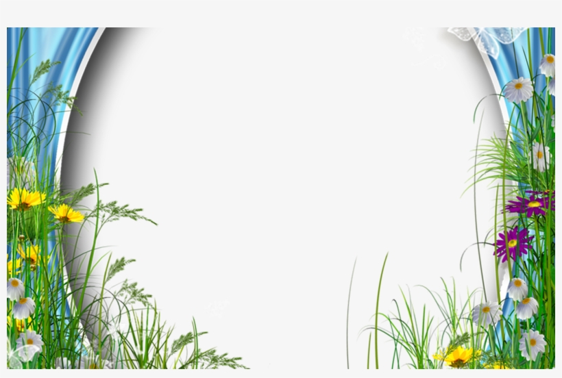 Cute Png Summer Photo Frame With Flowers Cadre Pour - Just Reduced ...