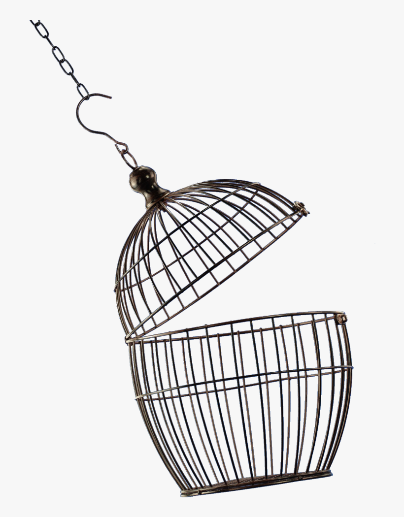 Open Bird Cage Clipart