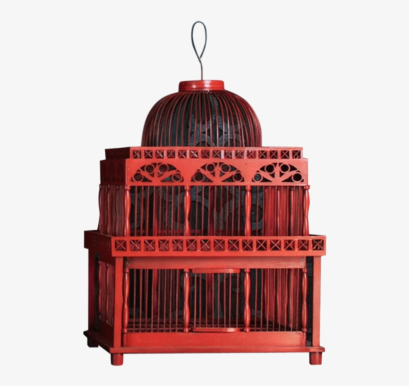 Cage Transparent PNG - 800x800 - Free Download on NicePNG