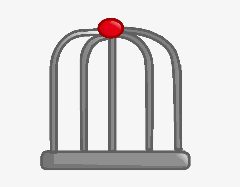 Bird Cage - Bfdi Cage Transparent PNG - 573x559 - Free Download on NicePNG
