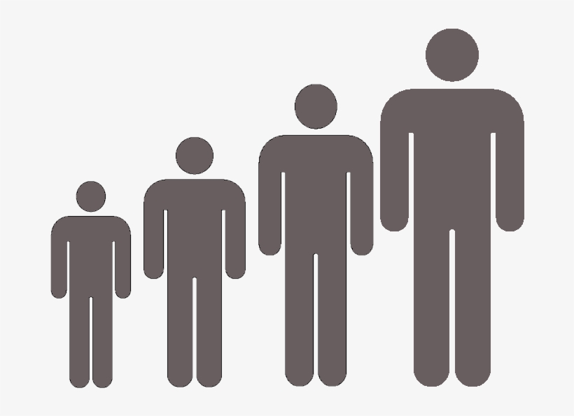 Brain Development Icon - Sales Manager Salary Transparent PNG - 711x516 ...