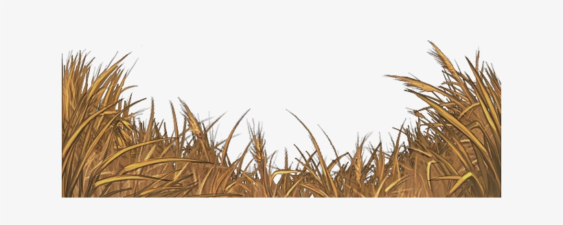 Yellow Field Grass Png Transparent PNG - 640x500 - Free Download on NicePNG