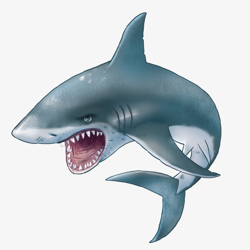 Shark Png Vectors - Shark Png Transparent PNG - 1024x1010 - Free ...