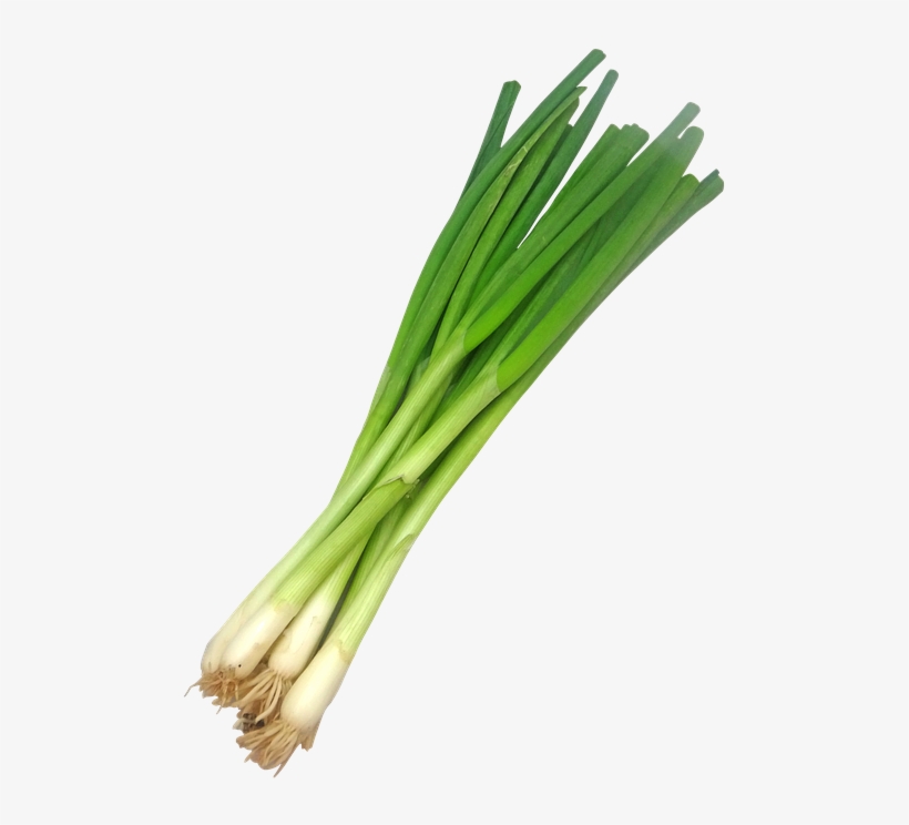 Spring Onion Png Transparent PNG - 563x720 - Free Download on NicePNG
