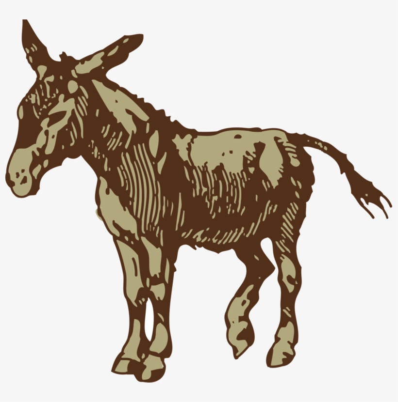 Donkey Mule Clipart