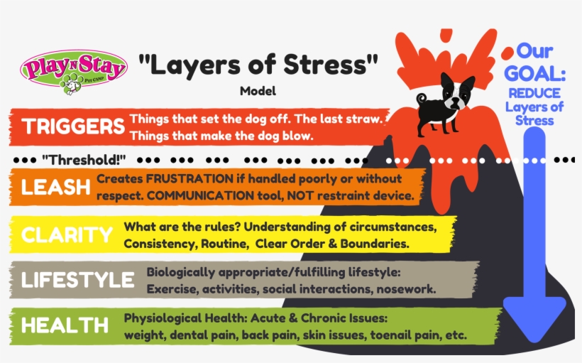 Download Layers Of Stress Png - Poster - HD Transparent PNG - NicePNG.com
