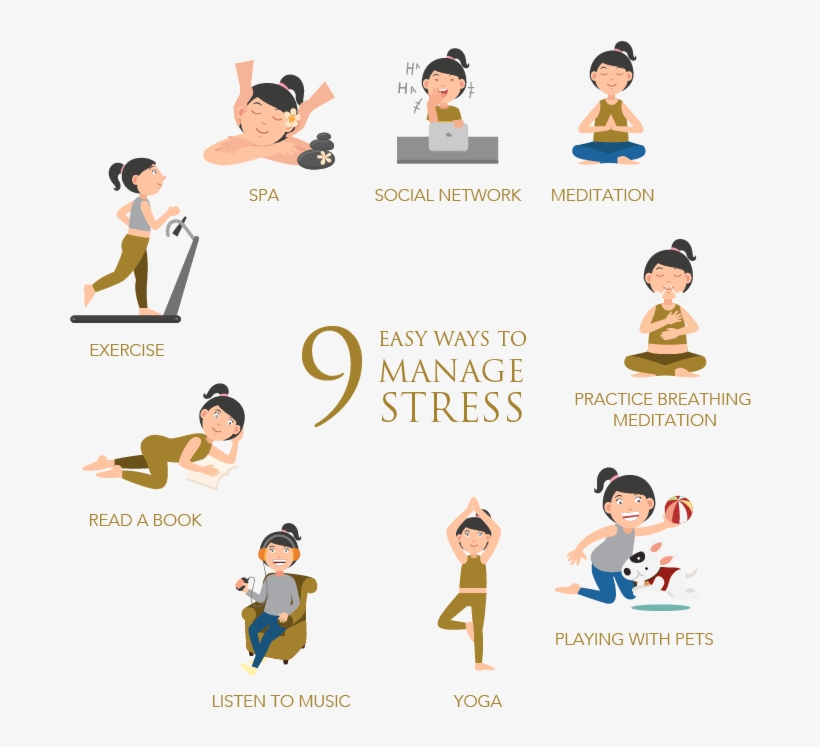 Download Managing Your Stress Levels - Managing Stress Infographic - HD ...