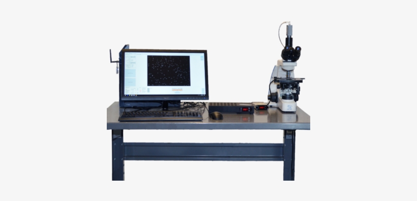 Computer Assisted Semen Analysis System - Computed Assisted Sperman ...