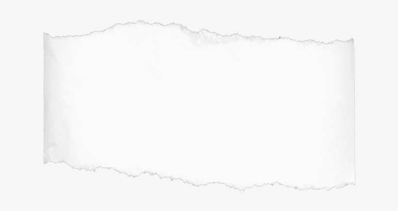 Download Ripped Paper Png - Tree - HD Transparent PNG - NicePNG.com