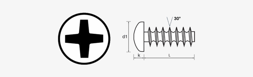 Phillips Pan Head Thread Forming Screw For Plastic - Phillips Head ...