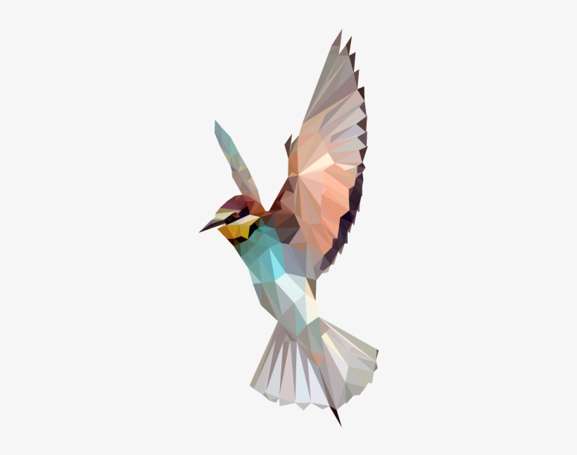 Bird Polygon - Google 검색 - Low Polygon Bird Transparent PNG - 595x842 ...