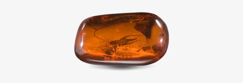 Responsive Image - Amber Gemstones Transparent PNG - 549x416 - Free ...
