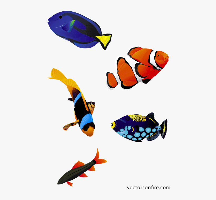 Coral Reef Fish Clipart