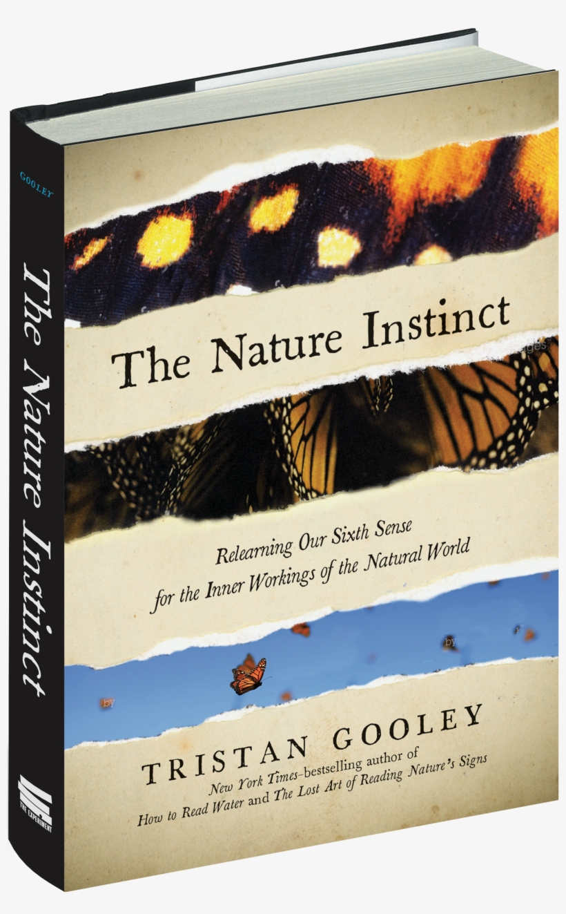 Want To Learn Even More About The Fascinating Science - Insect ...