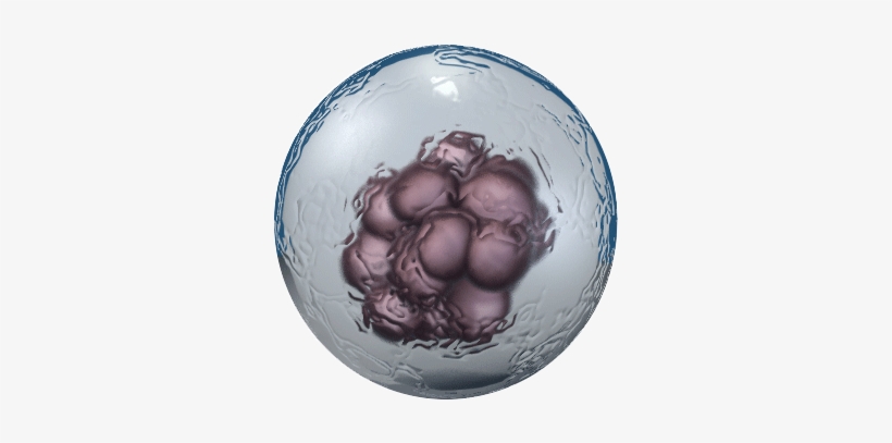 Embryonic Stem Cells Transparent Transparent PNG - 365x373 - Free ...