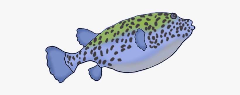 Fish Clip Art - Puffer Fish Clip Art Transparent PNG - 531x276 - Free ...