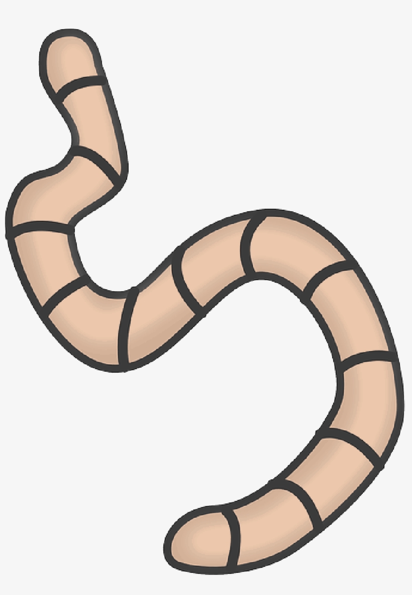 Mb Image/png - Worm Clipart Transparent Background Transparent PNG ...